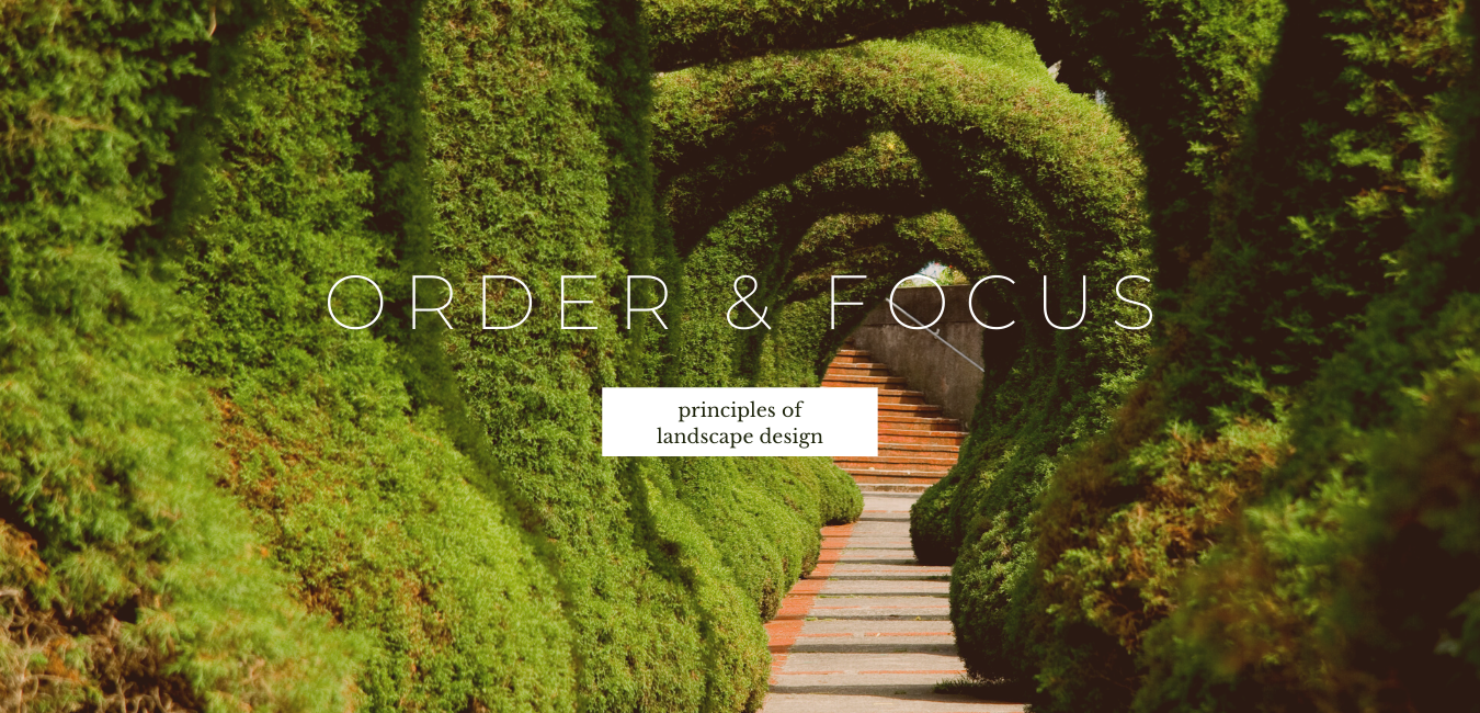 5 Landscape Design Principles To Guide Your Garden - Shape & Form