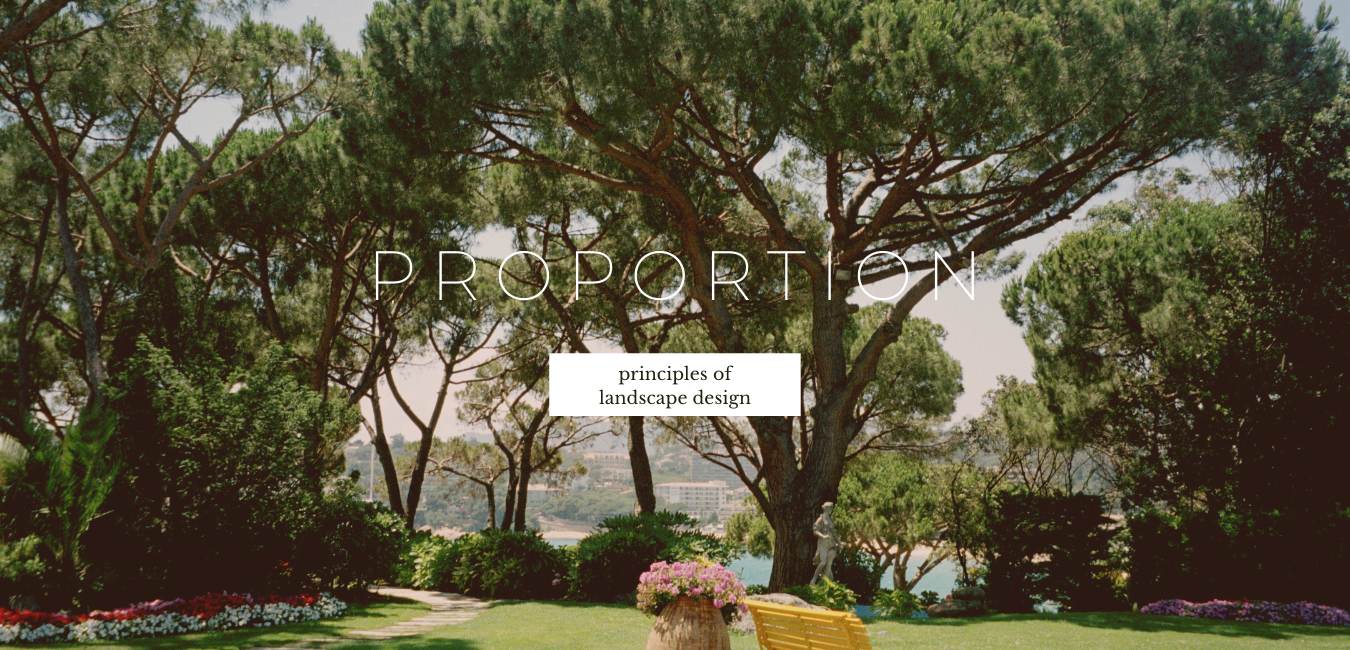 5 Landscape Design Principles To Guide Your Garden - Shape & Form