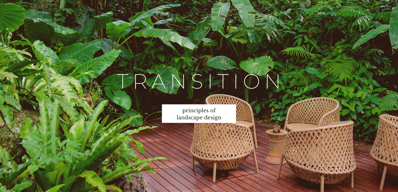 5 Landscape Design Principles To Guide Your Garden - Shape & Form