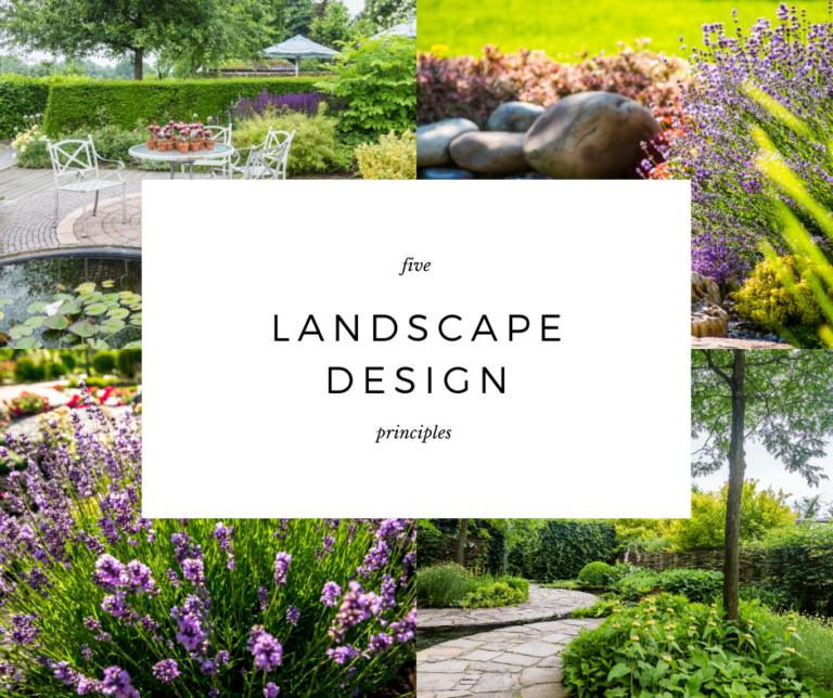 5 Landscape Design Principles To Guide Your Garden - Shape and Form